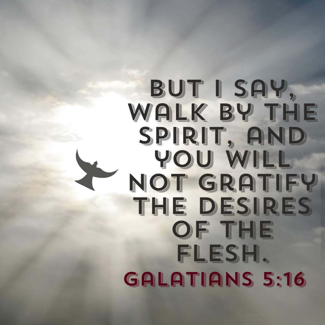 30 Bible Verses About Letting Go of Burdens: Walking in Faith ...